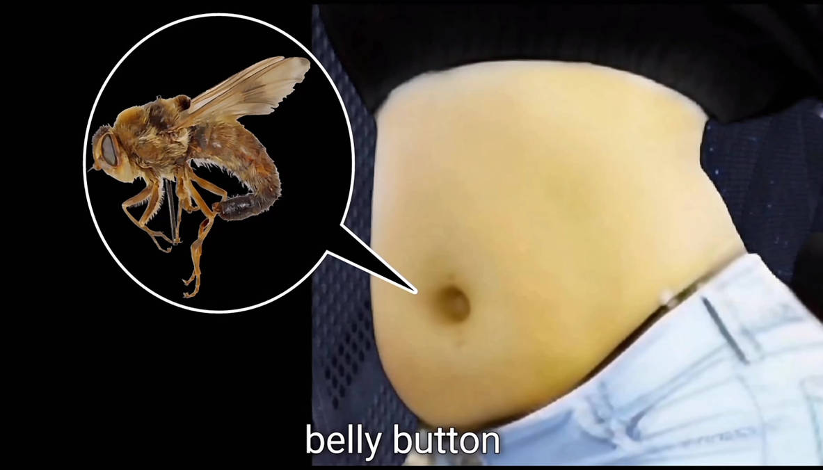 The True Villainess' Bellybutton (3) by endofevil on DeviantArt