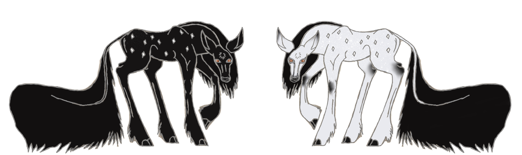 Shadow/Paris | Doe | OC by DarkVampireRider on DeviantArt