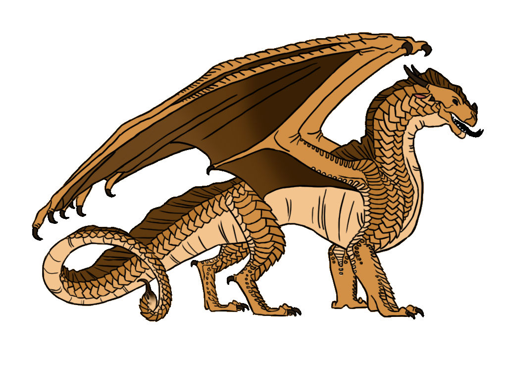 Sandwing Design by night-hawk0913 on DeviantArt