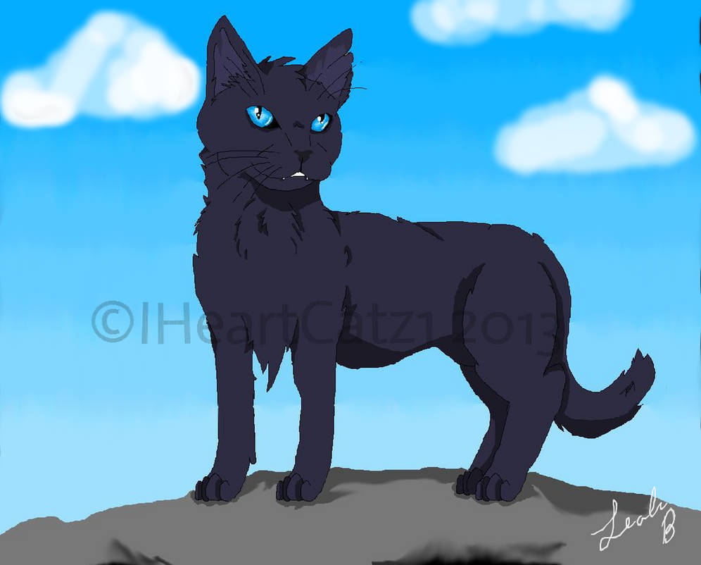 Realistic Bluestar by trashboatt on DeviantArt