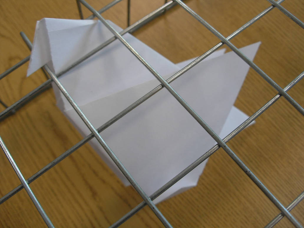 The Caged Dove by oomamiwocwoc on DeviantArt