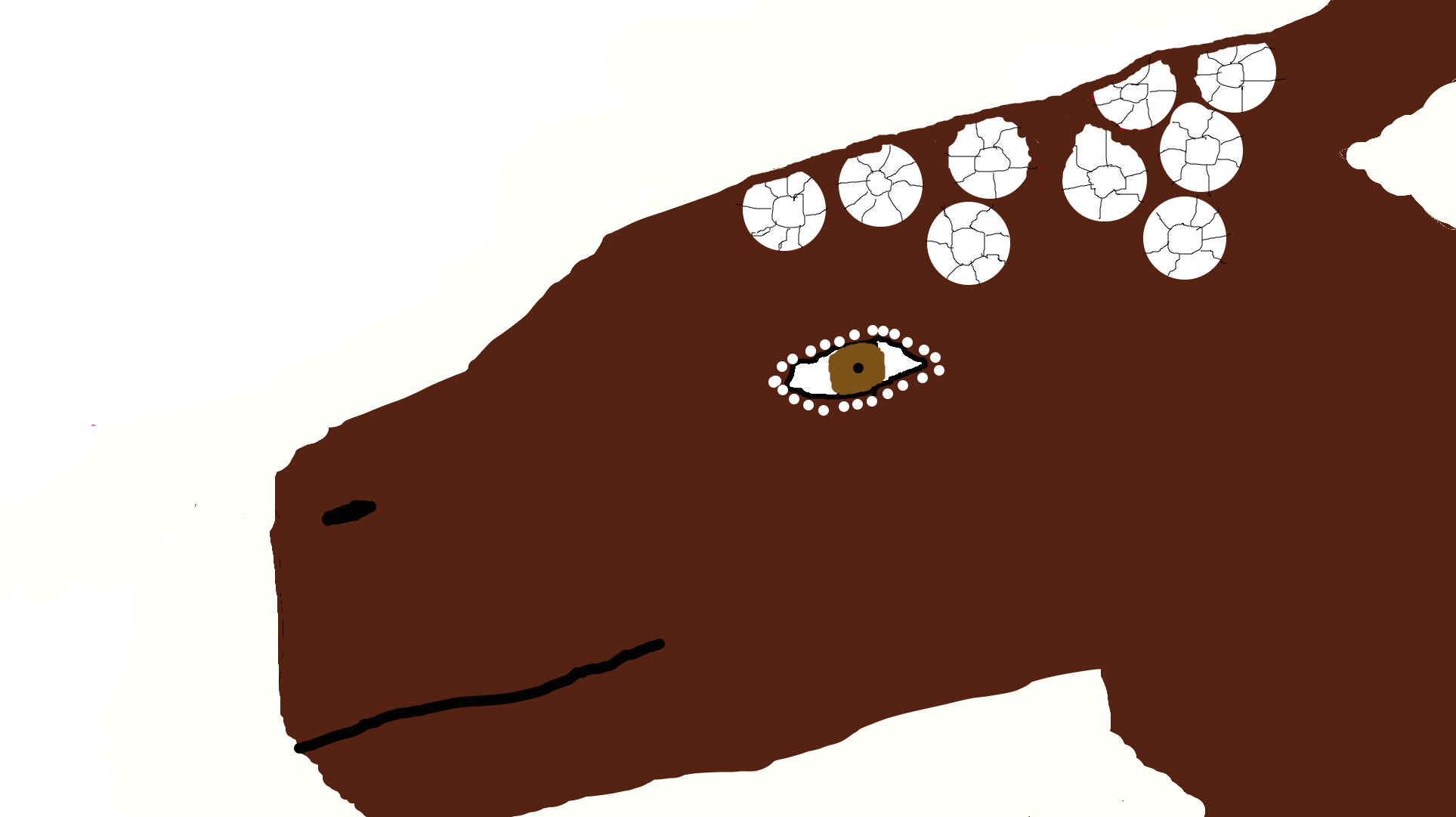 Queen Moorhen by ravenclaw1818 on DeviantArt