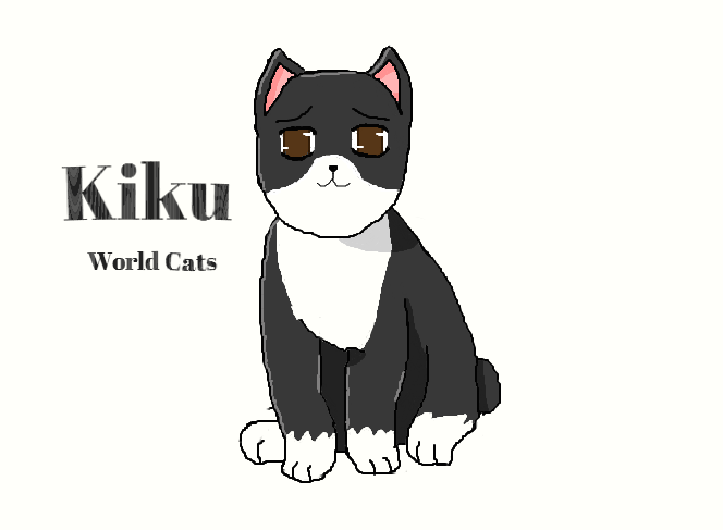 Kiku- World Cats by MuffinPonyPinkiePie on DeviantArt