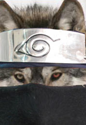 kakashi wolf by dufirefly on DeviantArt