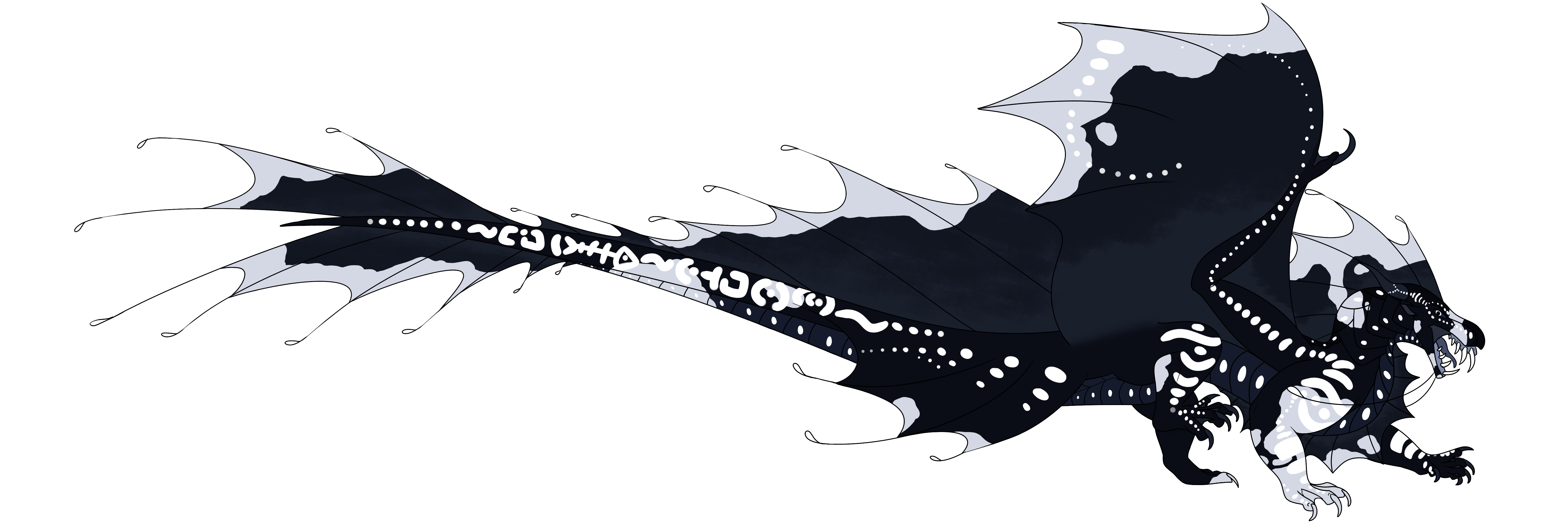 Anguilli by GREY-NEEDLEZ on DeviantArt