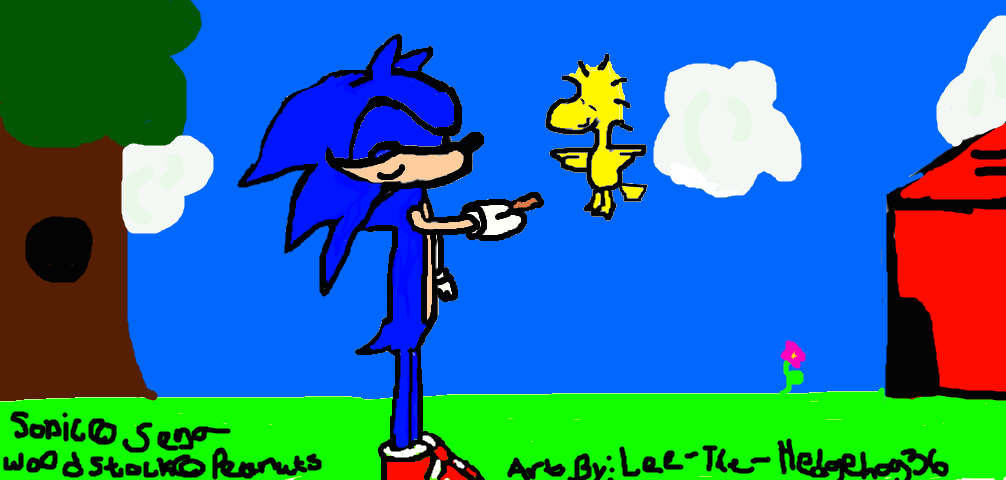 Peanuts and Sega Crossover 2 by Lee-The-Hedgehog36 on DeviantArt