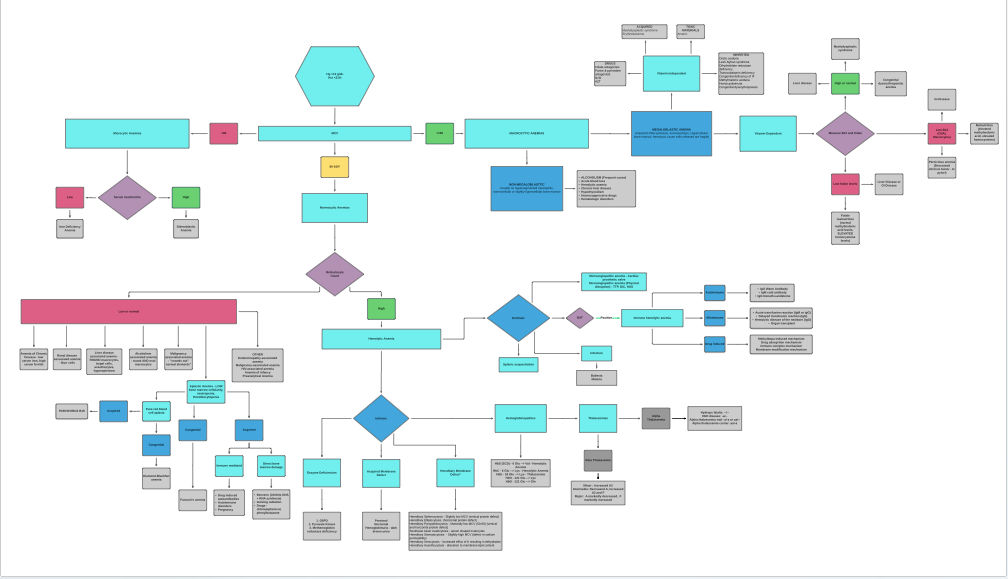 Anemia Flowchart by Nuz1111 on DeviantArt