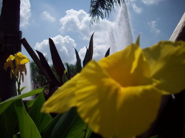 Endless Flowing Tears by inferno36987 on DeviantArt