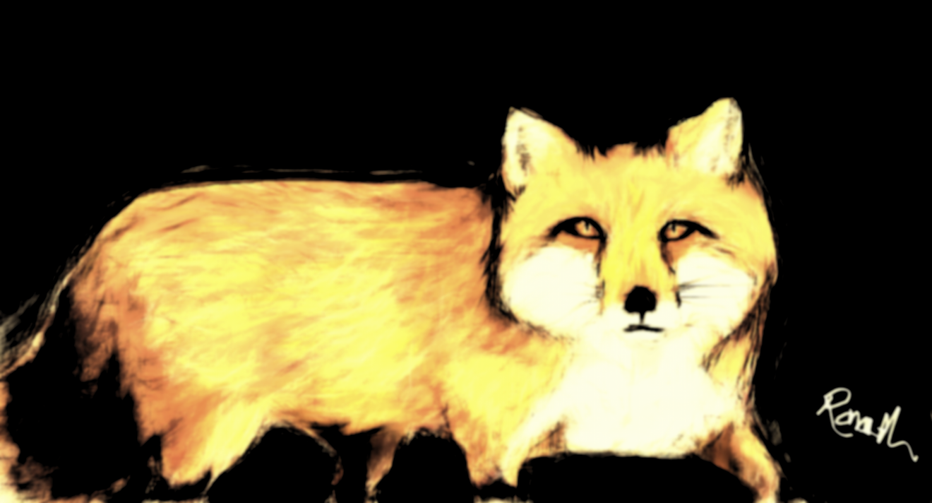 Kitsu by Yama-no-Bankun on DeviantArt