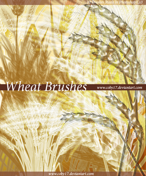 Wheat Brushes by Coby17 on DeviantArt