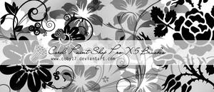 Free PSP Brushes 5 by Sookie by sookiesooker on DeviantArt