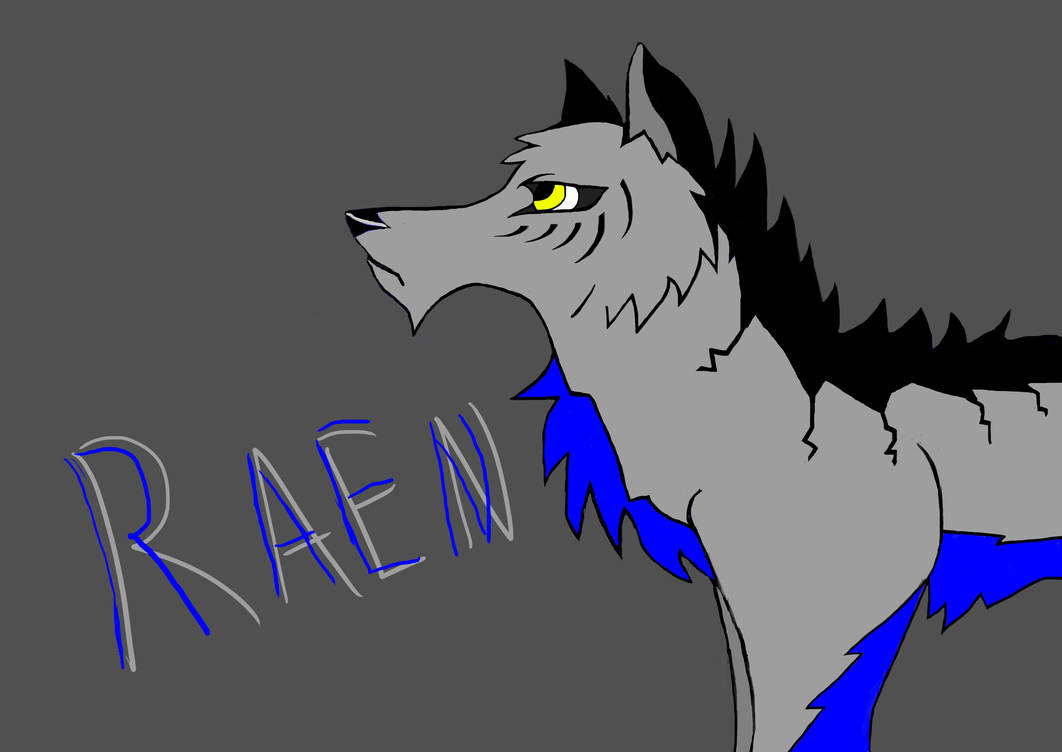 Raen: wolf form: Digital version by RAENman on DeviantArt