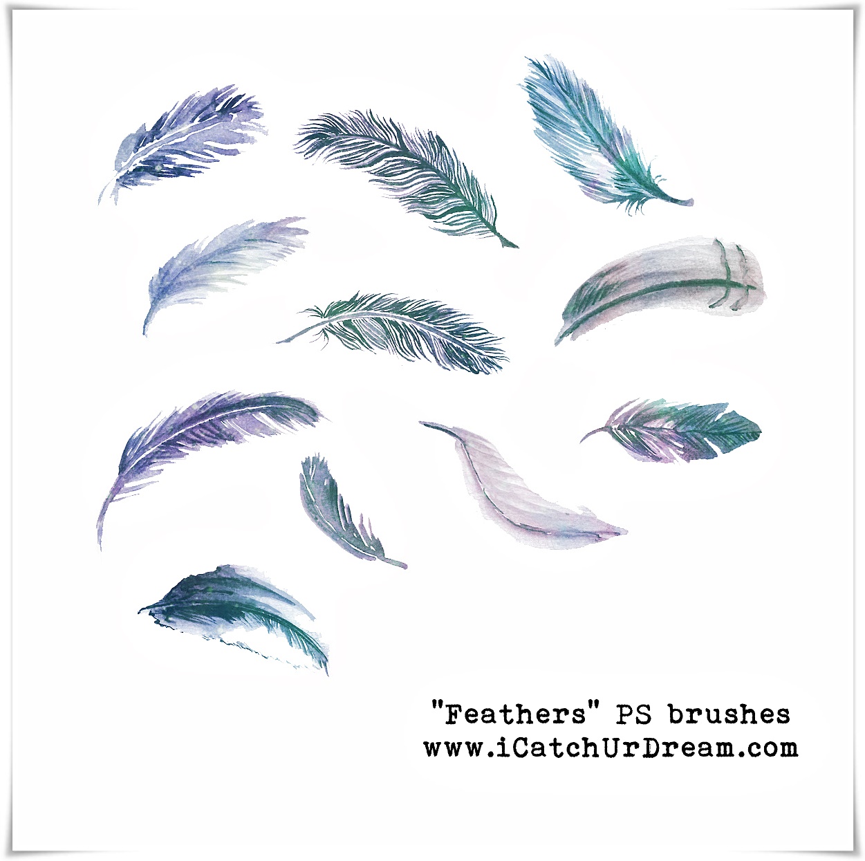 Feathers PS brushes by iCatchUrDream on DeviantArt