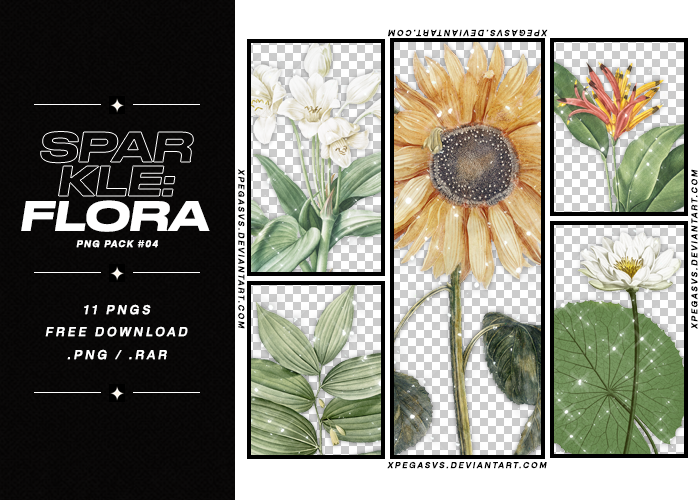 [04] : sparkle : flora by xPEGASVS on DeviantArt