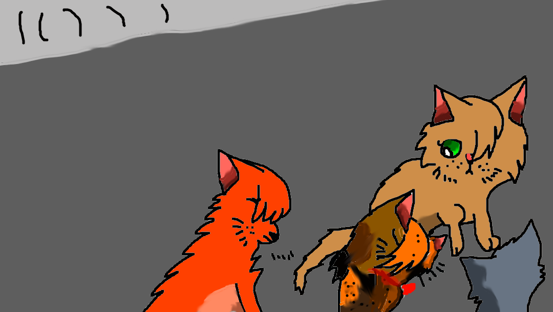 Spottedleaf's death by Rainstar-of-LakeClan on DeviantArt