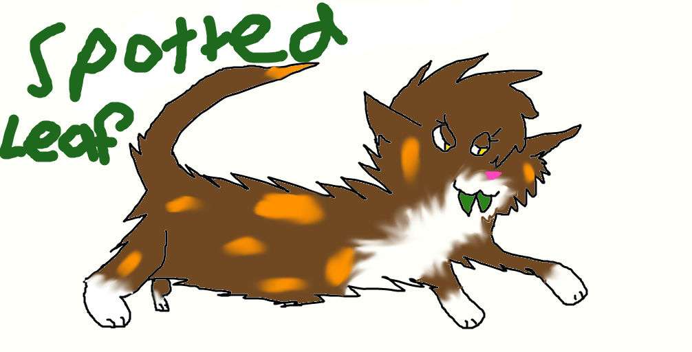 Spottedleaf by spottypuppycat083 on DeviantArt