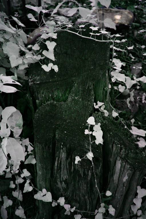 Travis Heights Low by Phostructor on DeviantArt