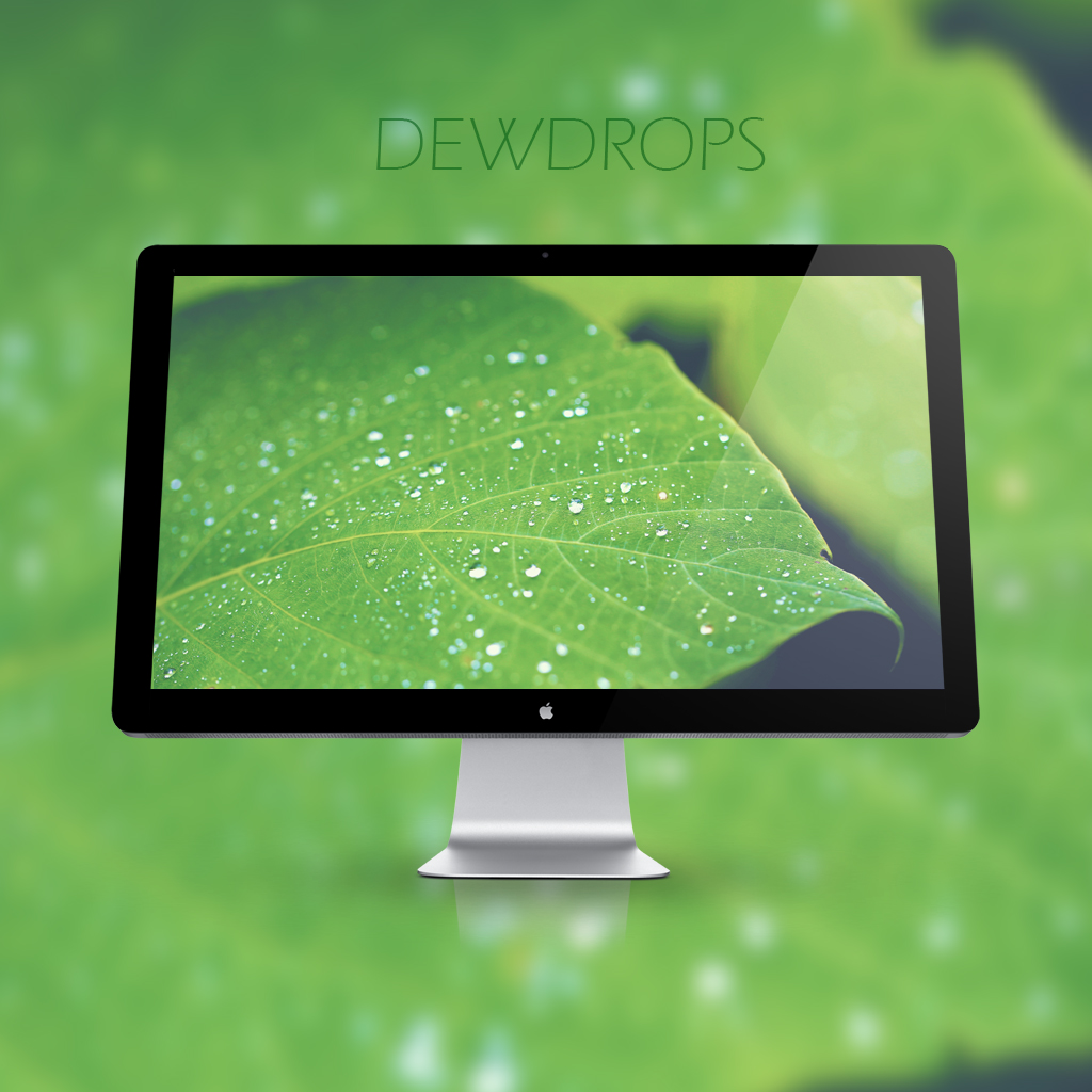 Dewdrops Wallpaper by rudolfzz111 on DeviantArt
