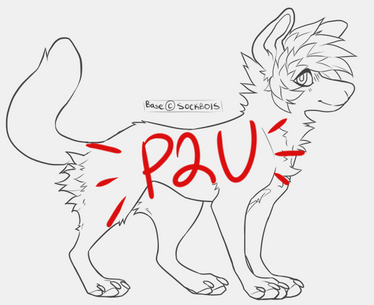 Explore the Best Canine_base Art | DeviantArt