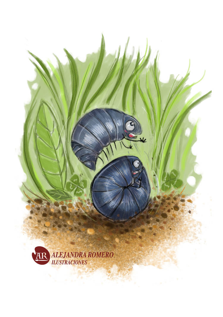 Bichos Bolitas by AleRomeroDrawings on DeviantArt
