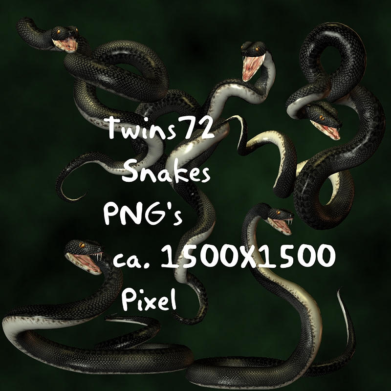 Stock Black Snakes by Twins72 on DeviantArt