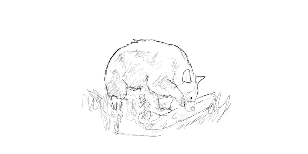 Bear (Line Art) by trxmpxt on DeviantArt
