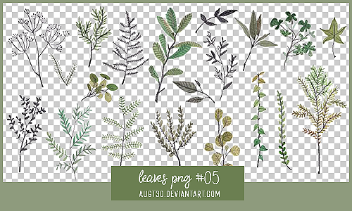 Leaves PNG #5 by AugT30 on DeviantArt
