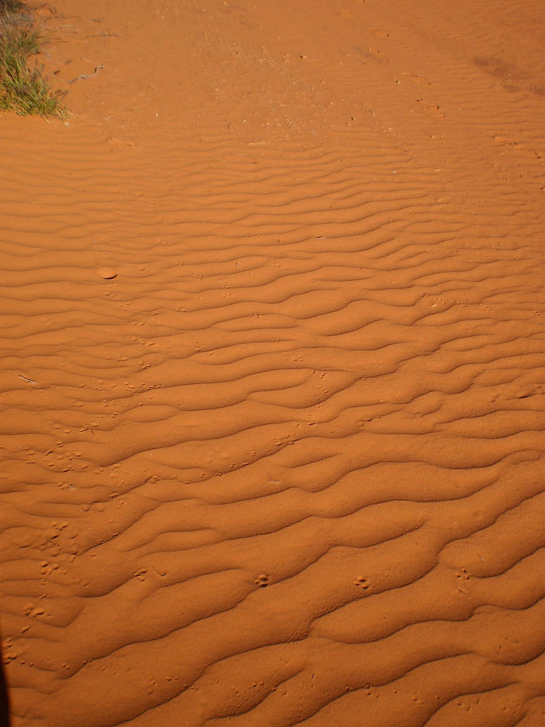 Outback Vampire by Valkyrie-3 on DeviantArt