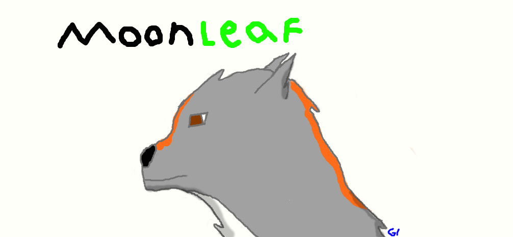 MoonLeaf by gruffenblue on DeviantArt