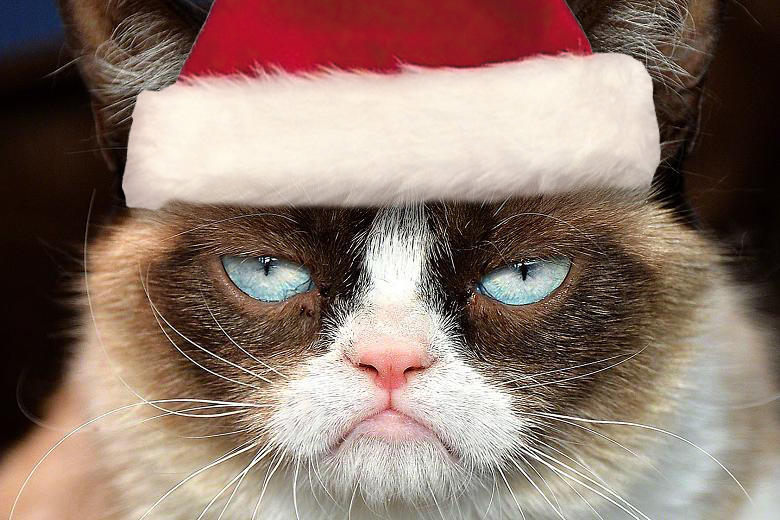 grumpy cat christmas by michu0022 on DeviantArt