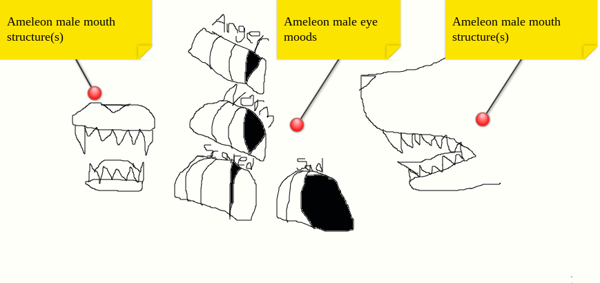 Male Ameleon mouth and eye show mood by Ghost-Stone on DeviantArt