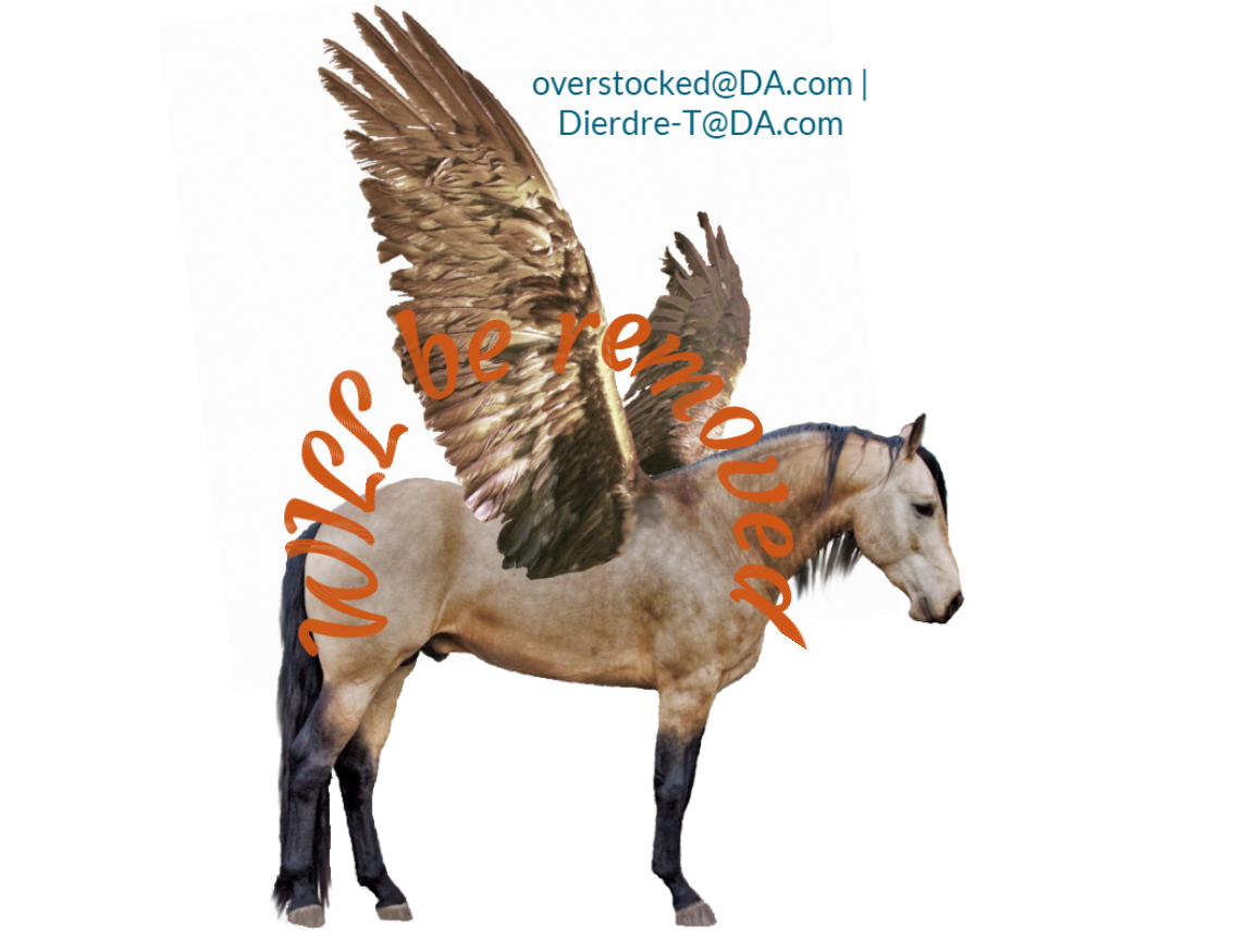 Example of winged art for customer by Nordtuin on DeviantArt