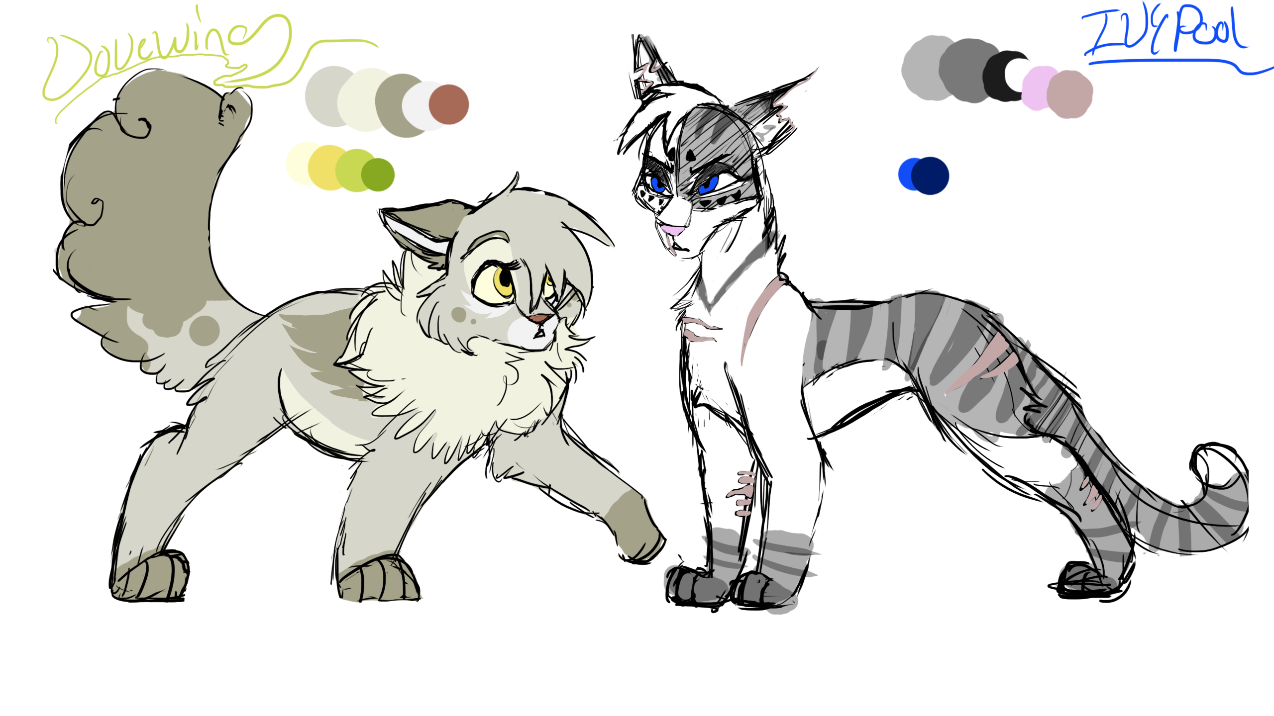 Warrior Cats Wallpaper Dovewing