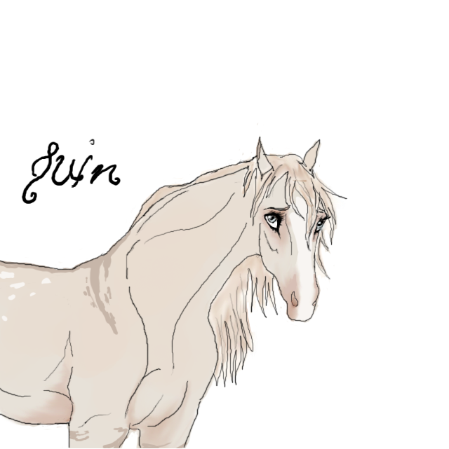 new horse Oc- Quin by Rasl-Dazzle on DeviantArt
