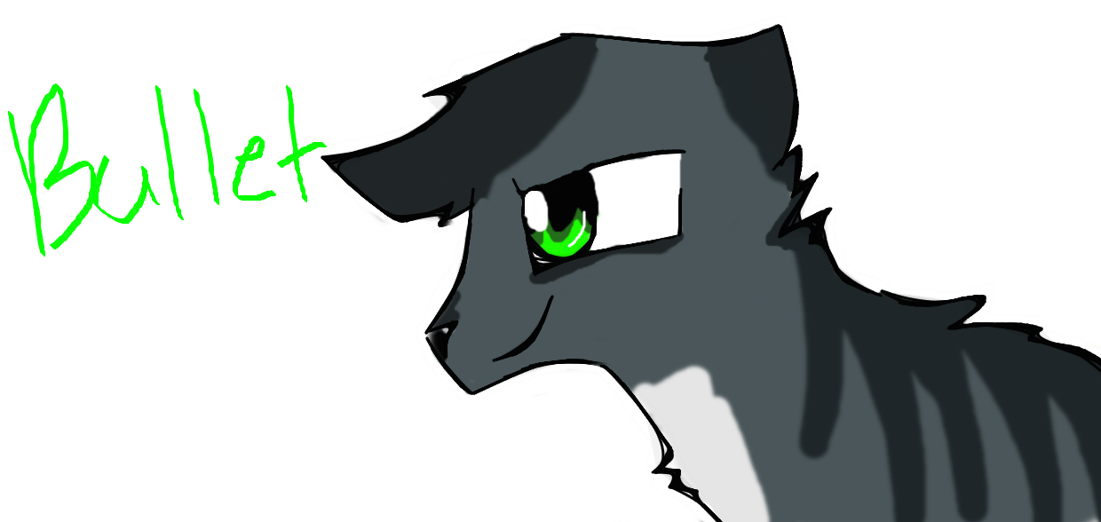 Bullet by DarkkyYouth on DeviantArt