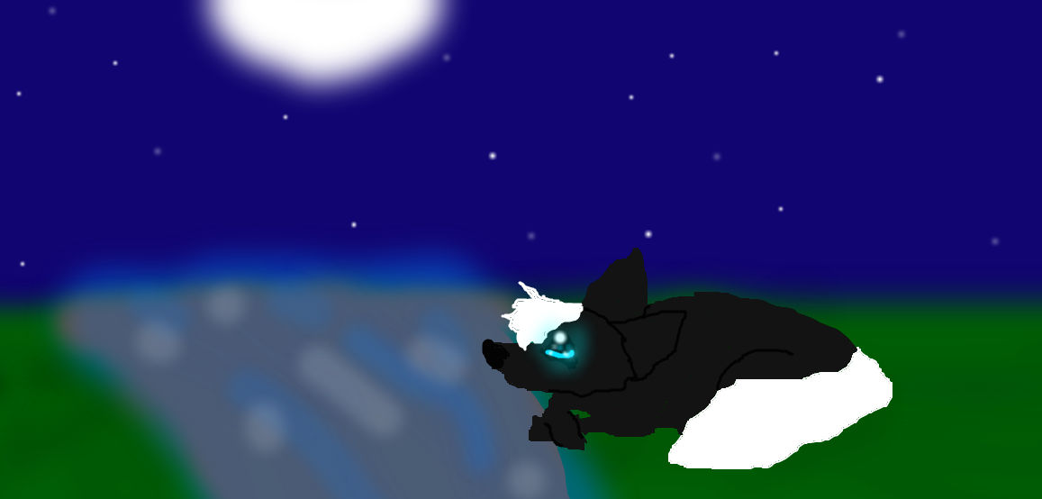 The wolf at the river by CrystalJay on DeviantArt