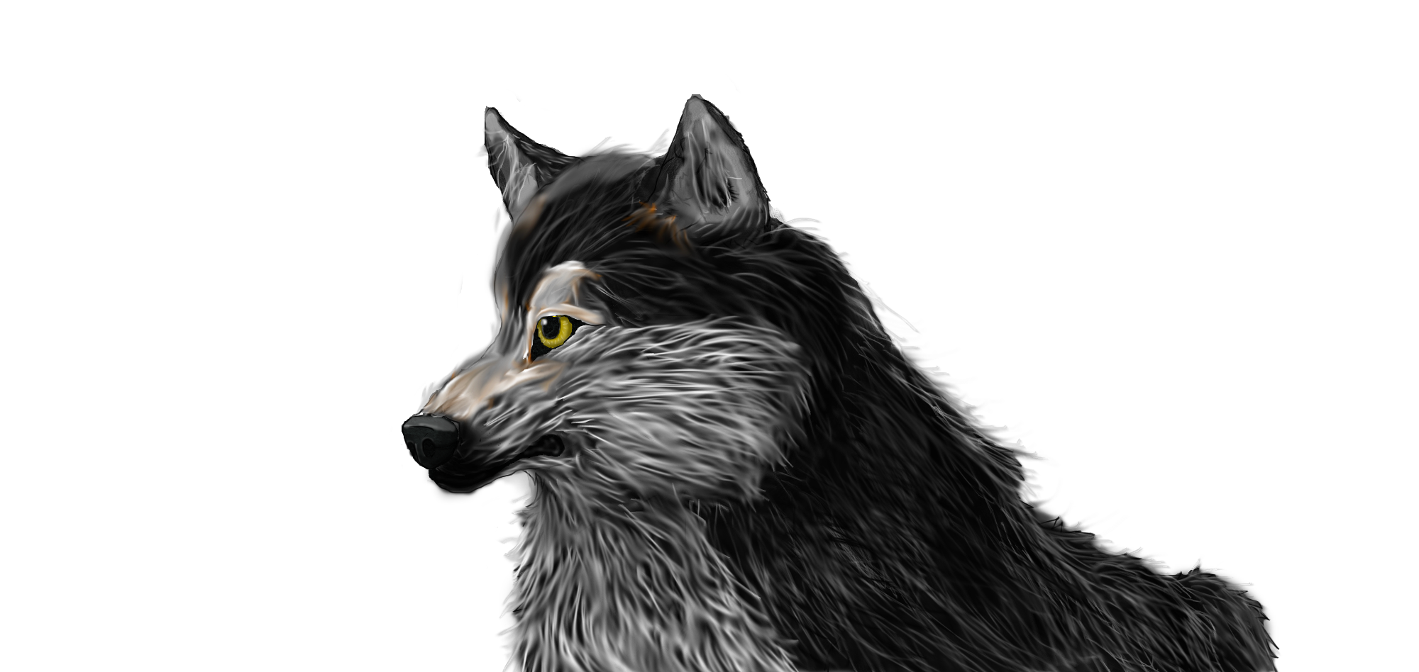 Basic-Wolf-Artists DeviantArt Gallery