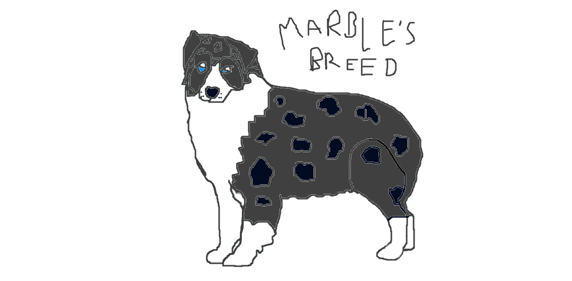 Marble's Breed by PawPatrolChase on DeviantArt