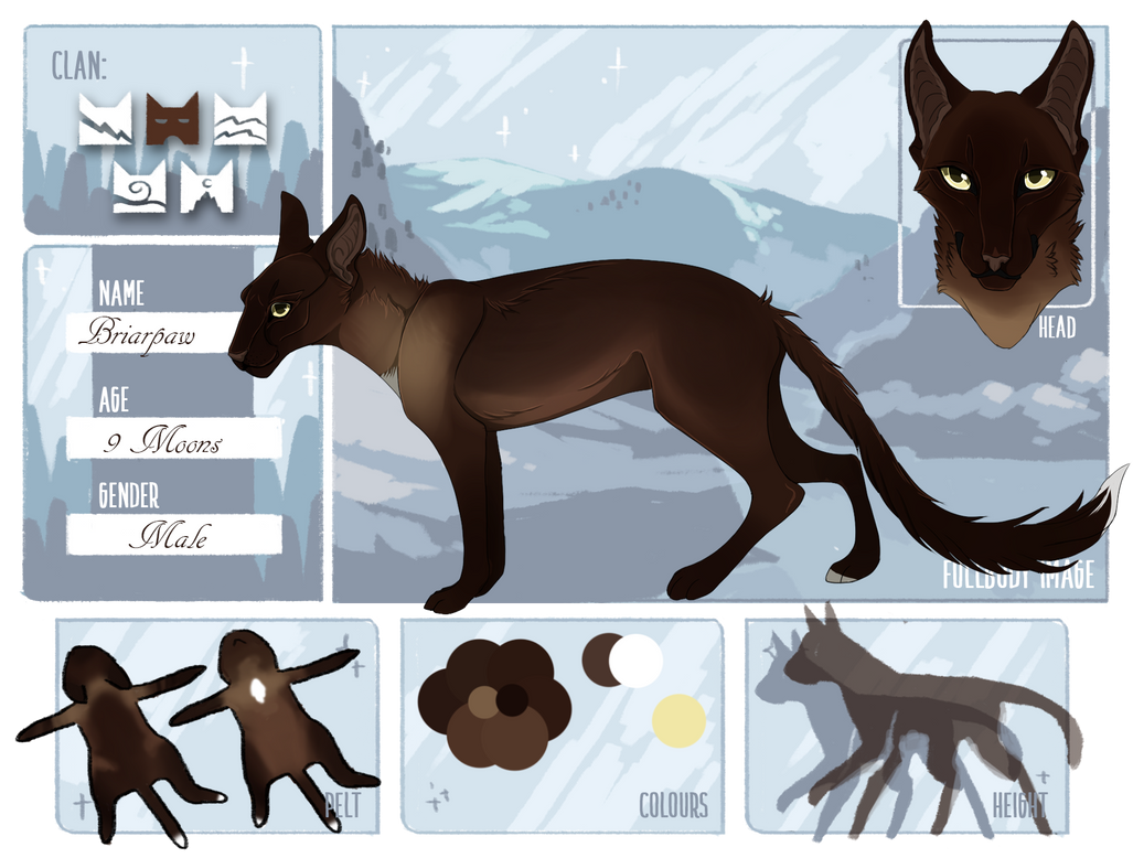 Briarpaw TSF ShadowClan by Marziel on DeviantArt