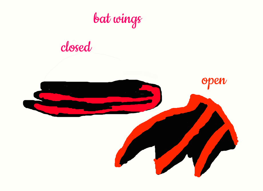 bat wings by goldenstrike153 on DeviantArt