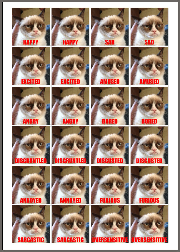 GRUMPY MEMO (concentration/memory/pairs game) by novaklukas on DeviantArt