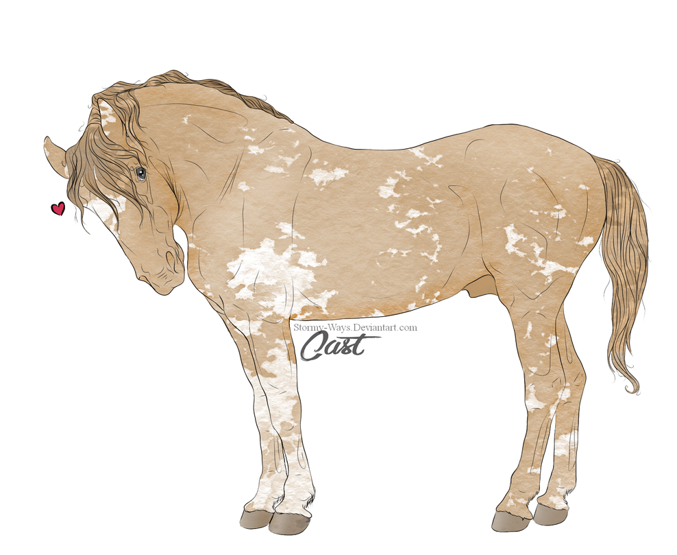 Watercolor - Draft Pinto by ImCast on DeviantArt