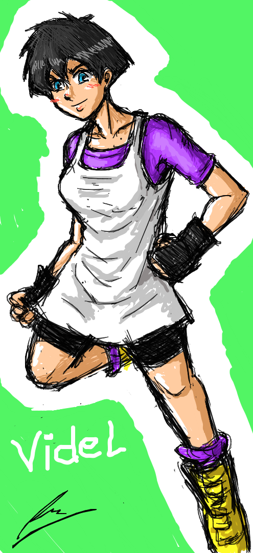 Videl by borockman on DeviantArt