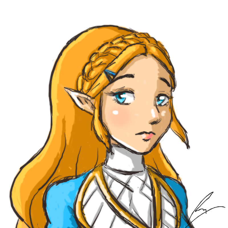 Zelda breath of the wild by borockman on DeviantArt