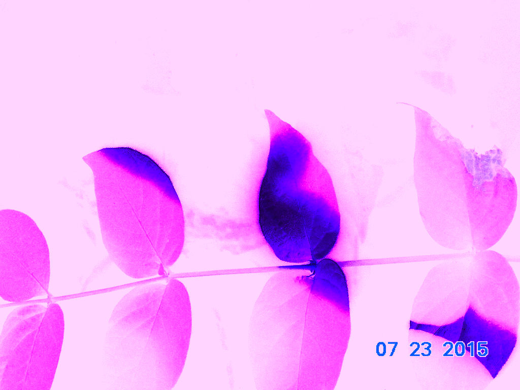 bloom by seunglee2020 on DeviantArt