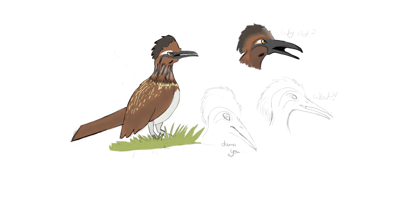 Roadrunner concept sketches by Ashkittylover on DeviantArt