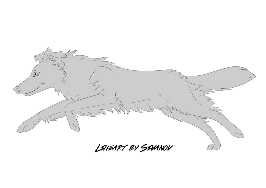 Free Border Collie Run Lineart by Shadowphoenix21 on DeviantArt