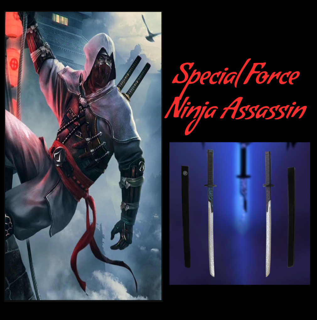 Ninja Assassin Weapons