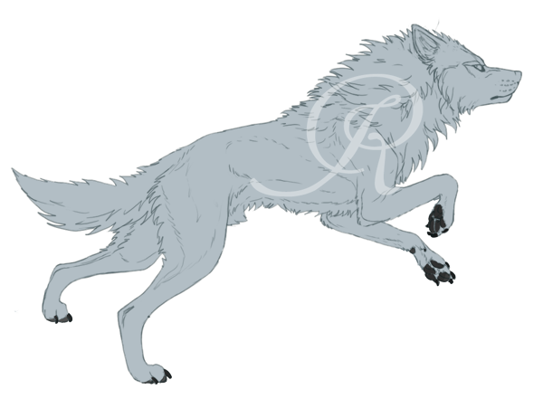 Wolf Jumping Drawing