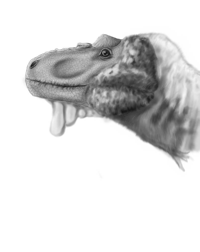 Queen of Appalachia (appalachiosaurus ) by SpinozillaRex on DeviantArt